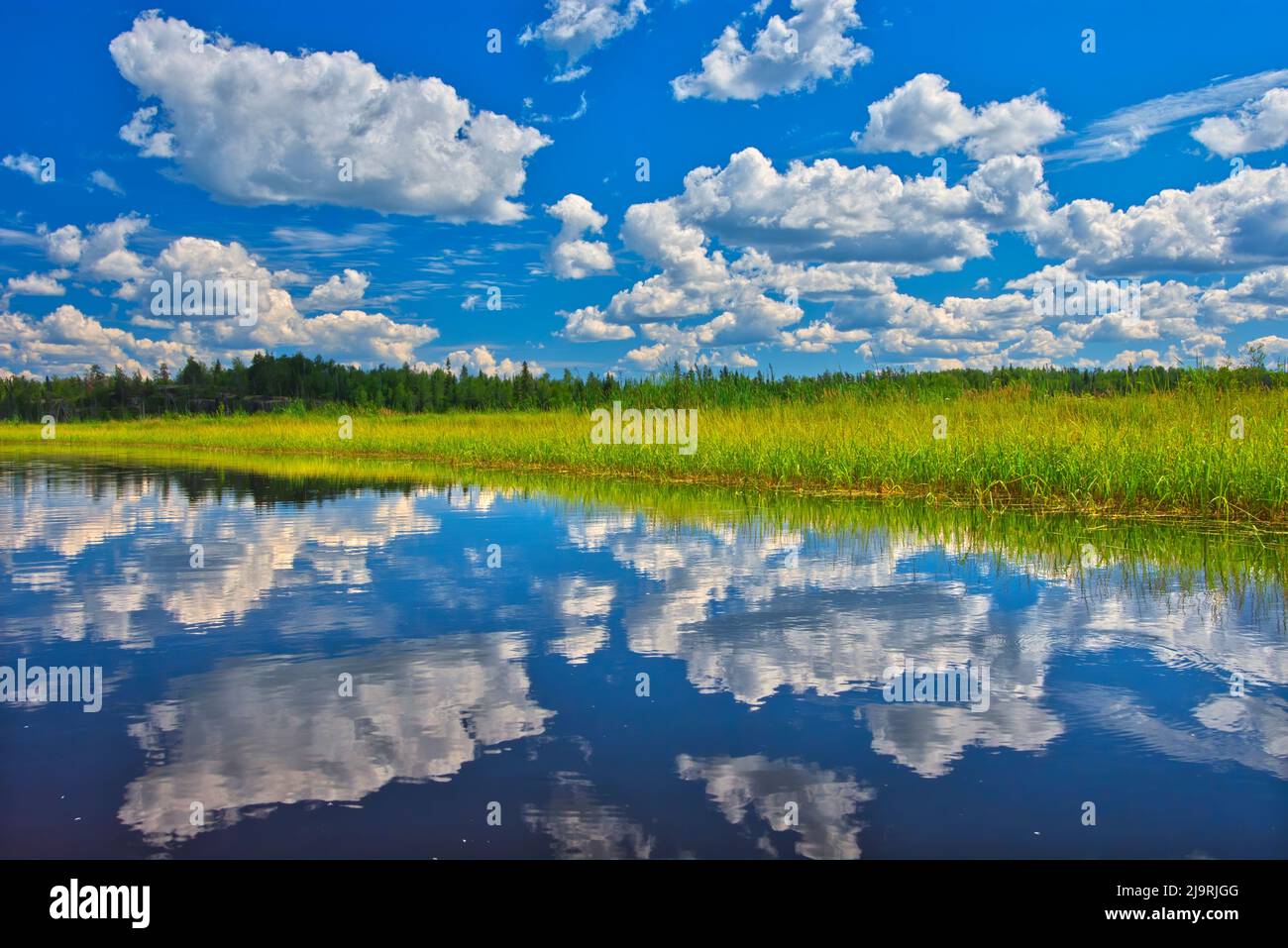 Canada, Manitoba, Whiteshell Provincial Park. River and forest ...
