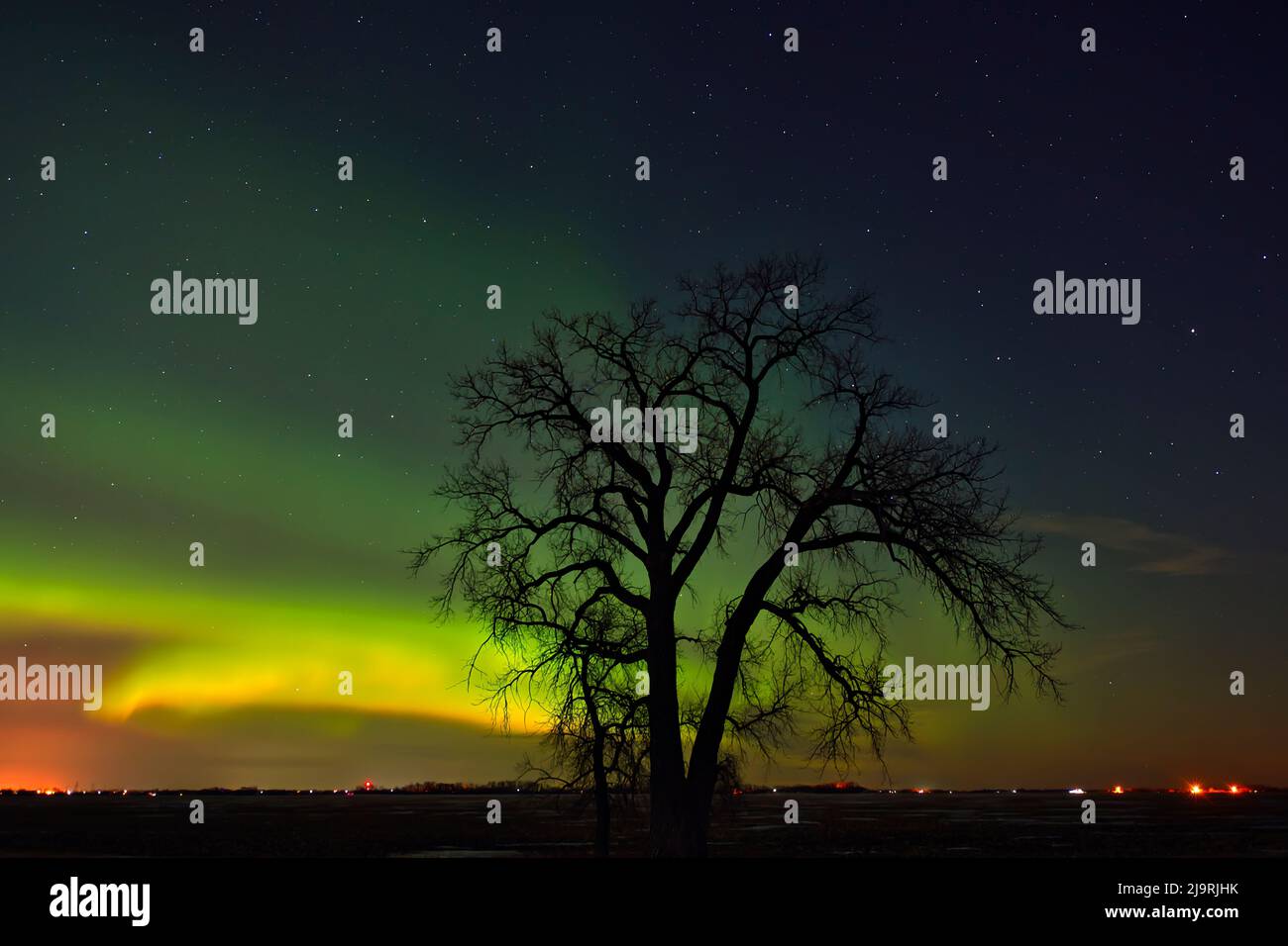 Canada, Manitoba, Grande Pointe. Northern lights silhouette plains ...