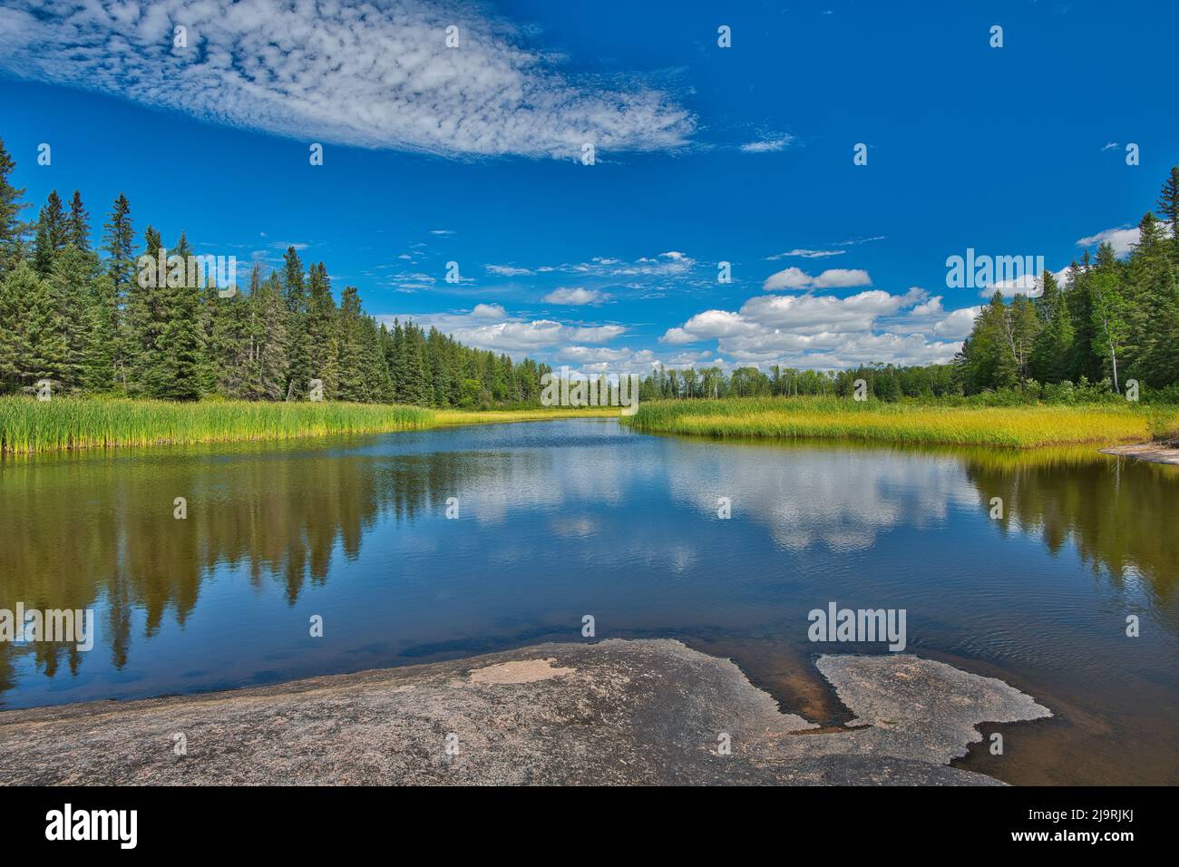 Canada, Manitoba, Whiteshell Provincial Park. Landscape with forest and ...