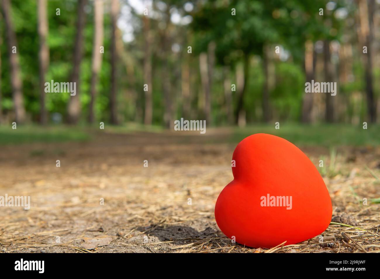 Close-up of a large red heart shape lying on the ground with a forest ...