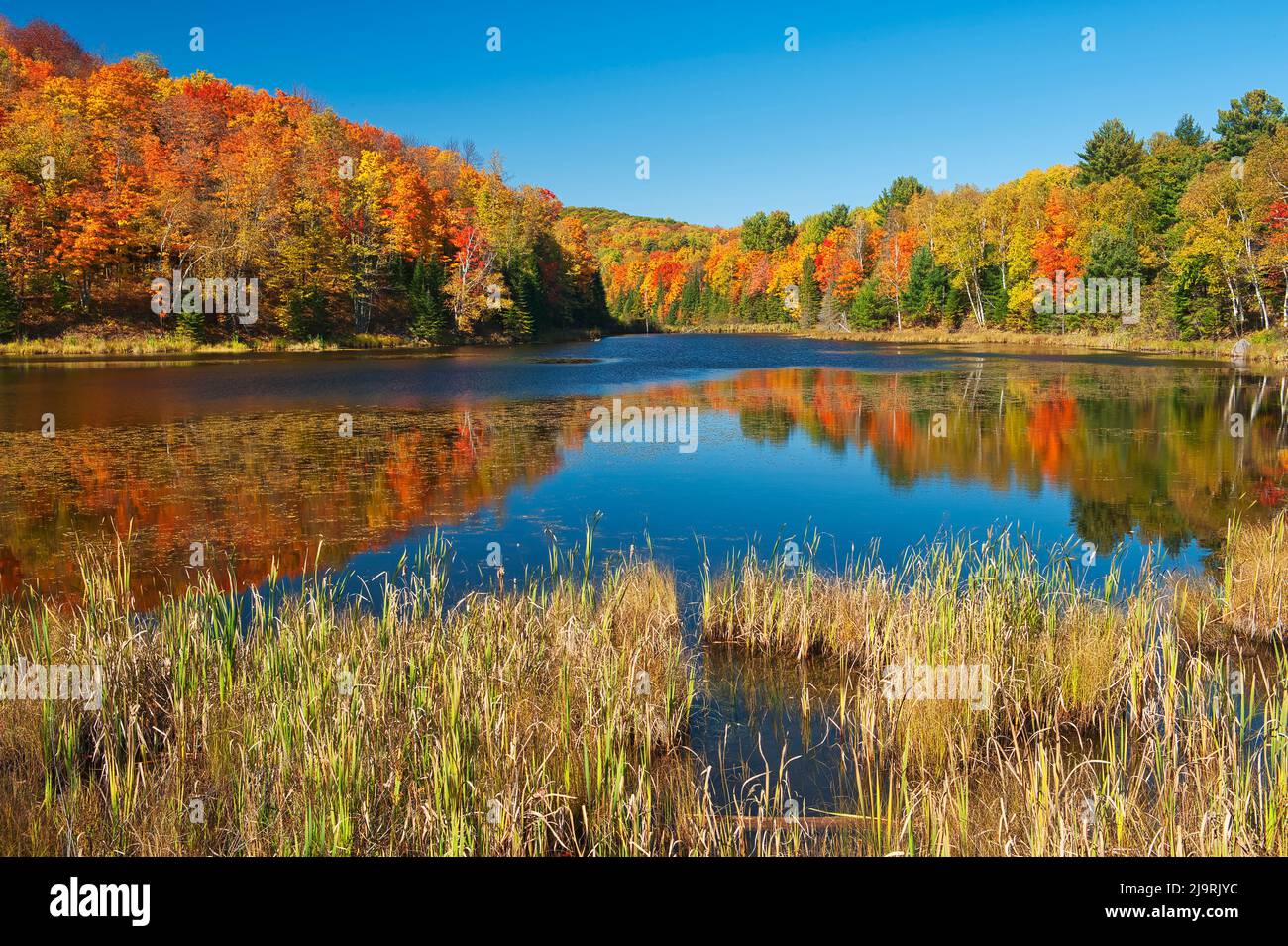 Potash canada hi-res stock photography and images - Alamy