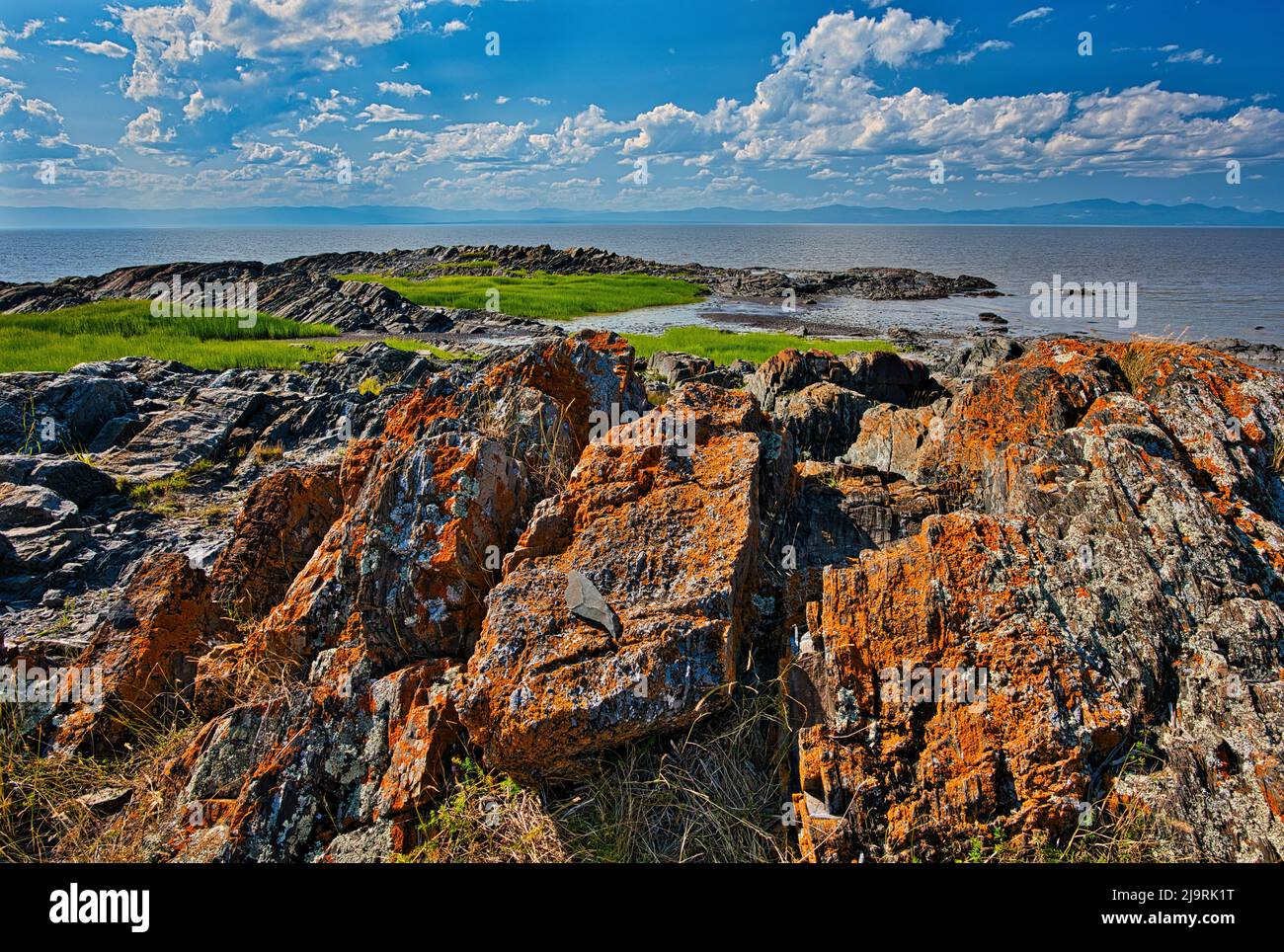 Canada, Quebec, Gulf of St. Lawrence. Rocks and grass along shoreline ...