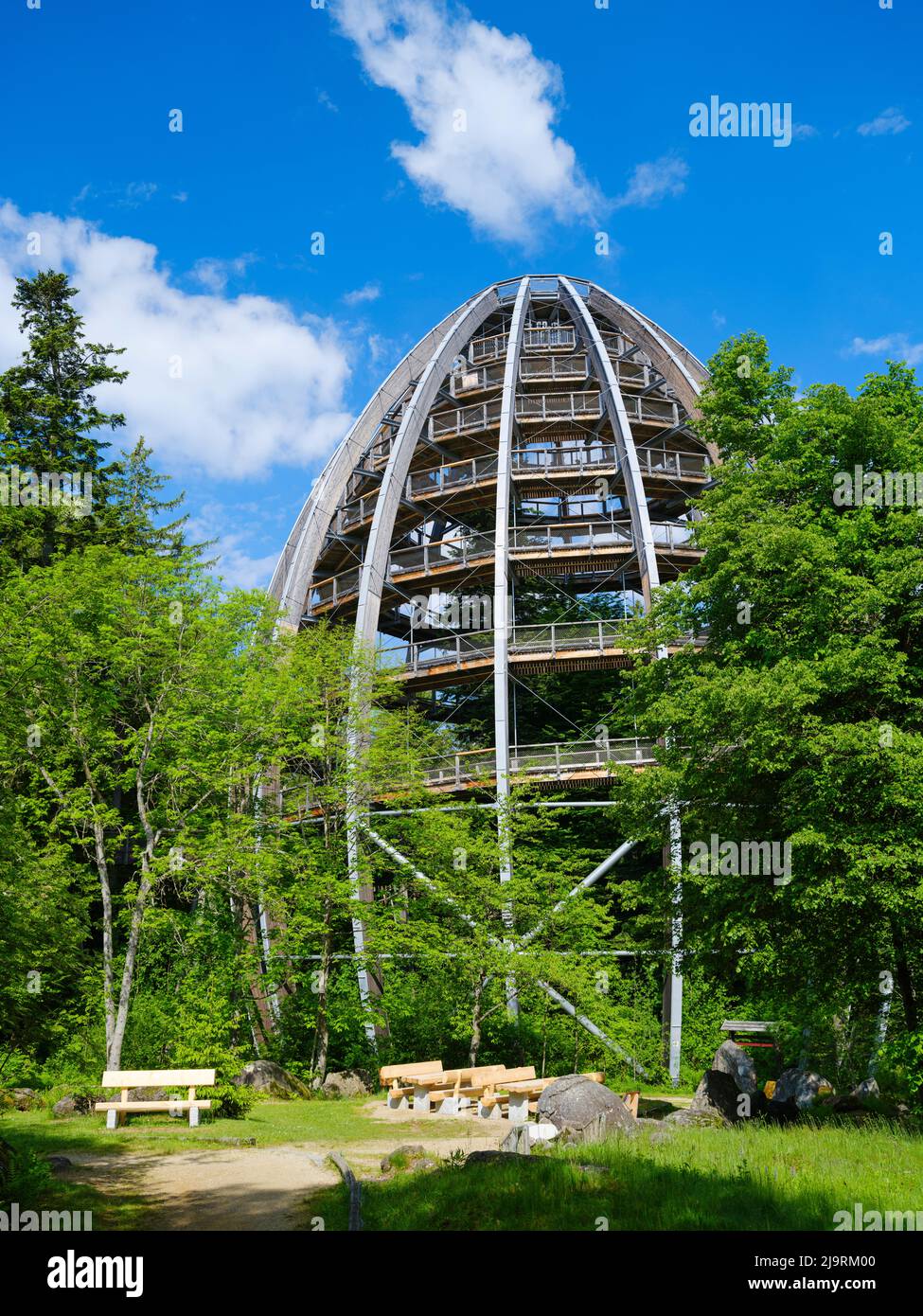 Lookout of the canopy walk. National Park Center Lusen in the Bavarian ...