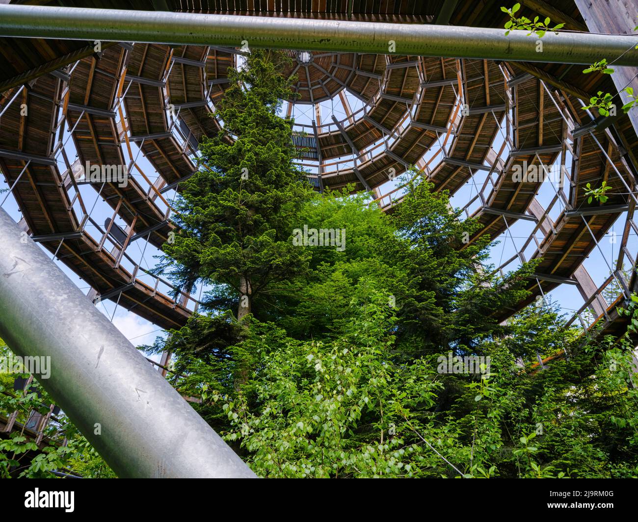 Lookout of the canopy walk. National Park Center Lusen in the Bavarian ...