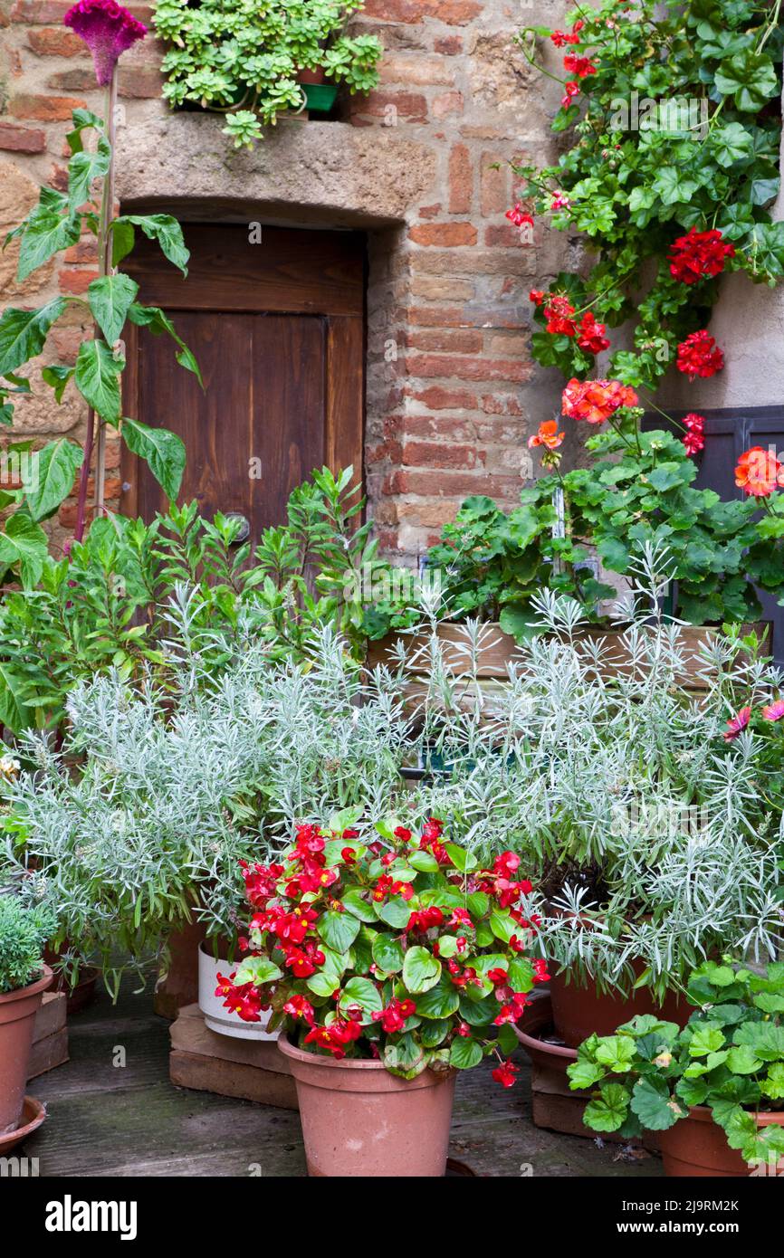 Italy, Tuscany, Pienza. Potted plants in the corner of a street in the ...