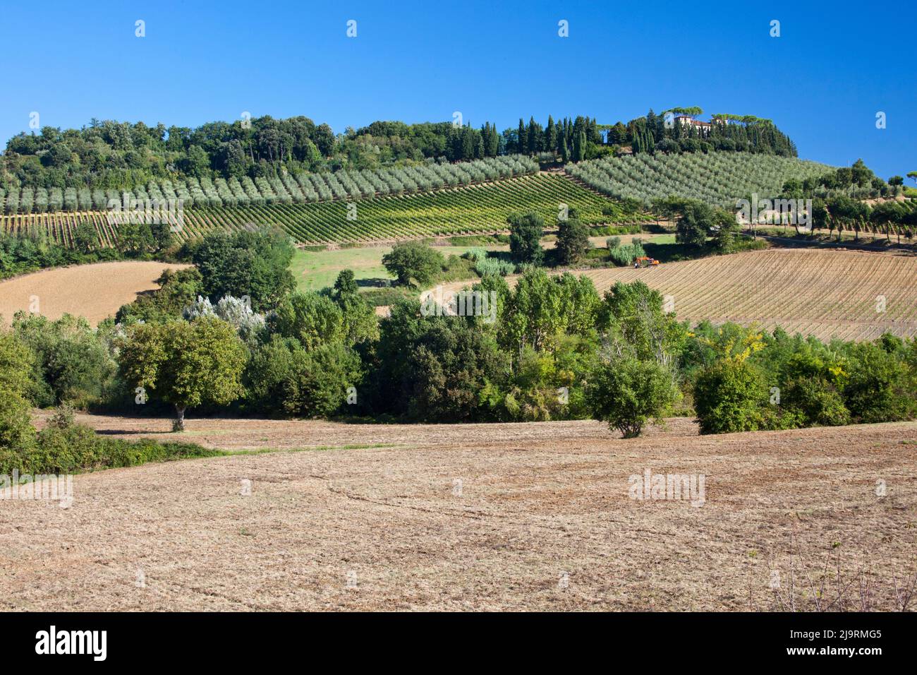 Italy, Tuscany. Villa on hillside surrounded with olive trees and ...