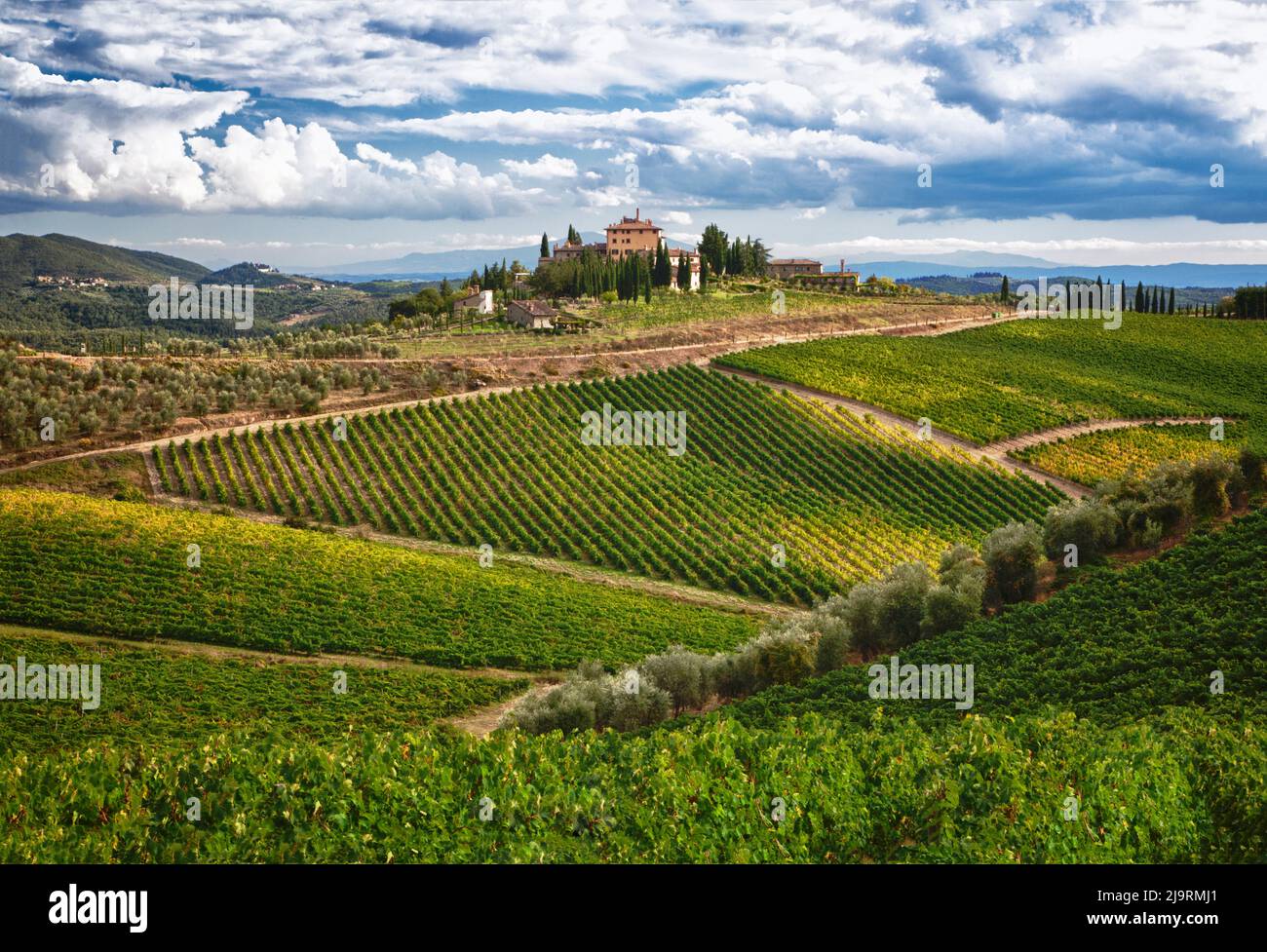 Italy, Tuscany. A view of the vineyards and villa in Chianti region of ...