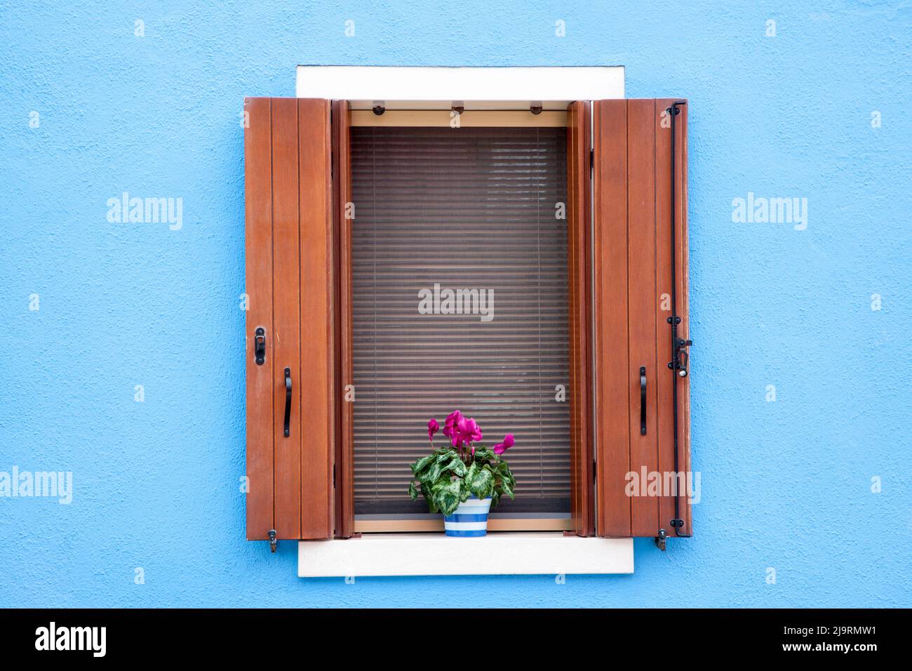 Italy, Venice, Burano Island. Single flower pot on window with wooden ...