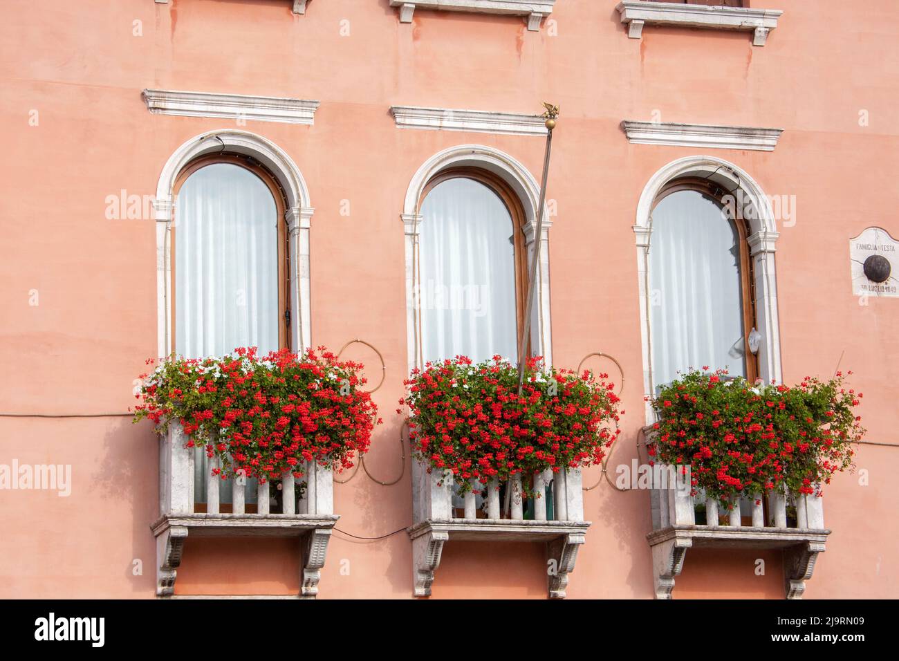 Italy, Venice. Red ivy geraniums on window balconies of buildings in ...
