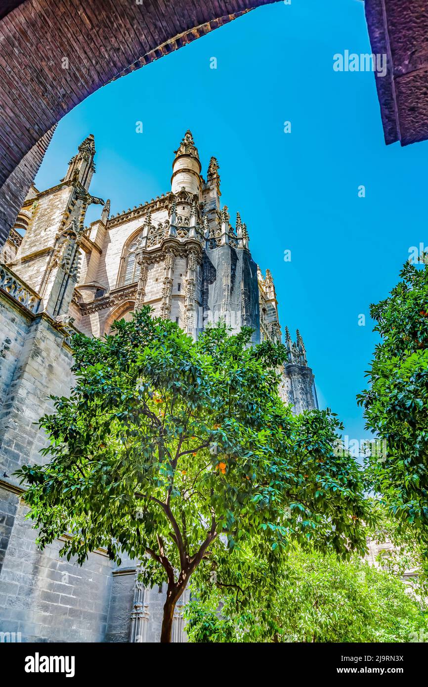 Orange Tree Garden Seville Cathedral, Cathedral of Saint Mary of the ...