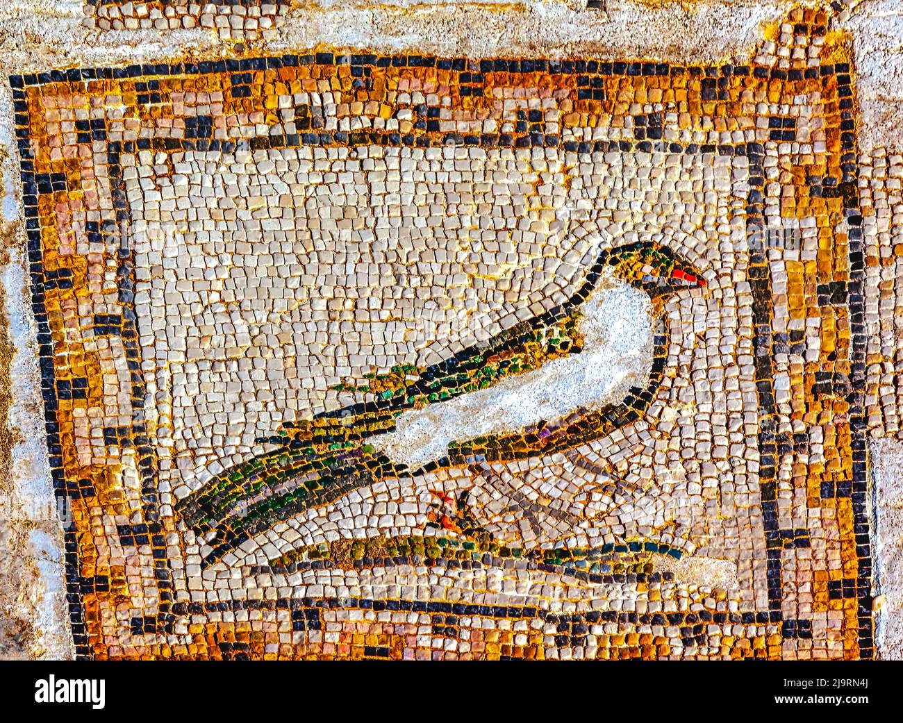 Colorful ancient bird mosaic ruins outside Seville, Andalusia, Spain ...