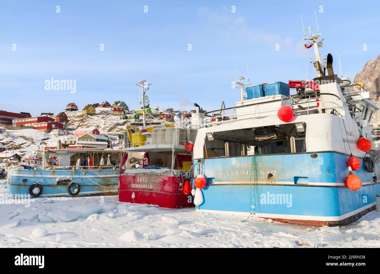 The frozen harbor of Uummannaq during winter in northern West Greenland ...