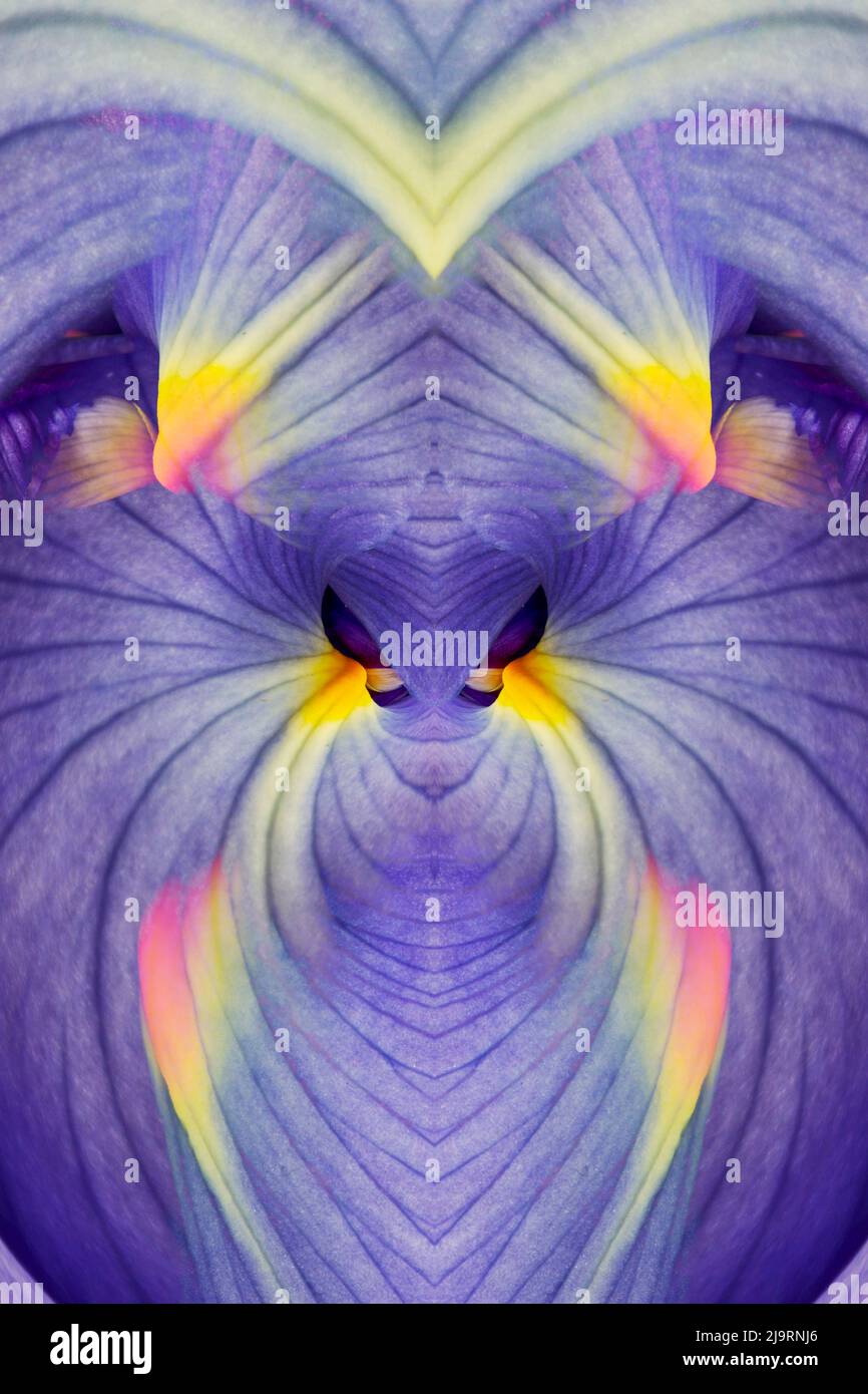 Abstract iris hi-res stock photography and images - Alamy