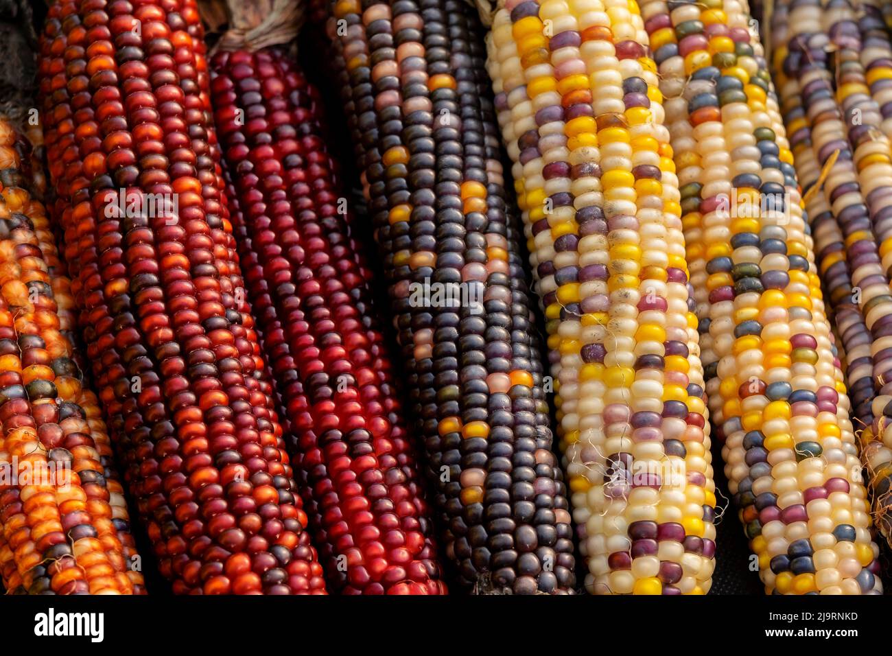 Jim corn hi-res stock photography and images - Alamy