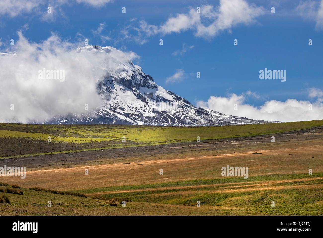 Antisana volcano ecological reserve hi-res stock photography and images ...