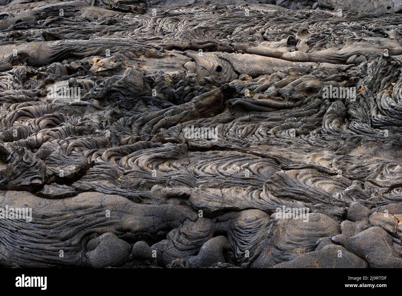 Recent Pahoehoe lava flow, Sullivan Bay, Santiago Island, Galapagos ...