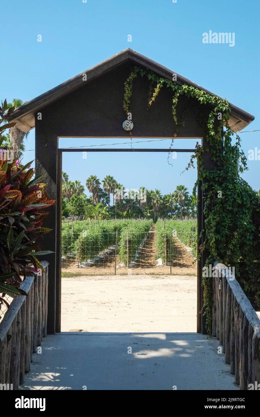 Baja California, Mexico. Local farm entrance gate Stock Photo - Alamy