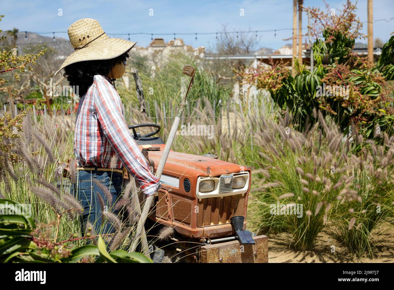 Small farm in Cabo San Lucas, Mexico. Scarecrow Stock Photo - Alamy