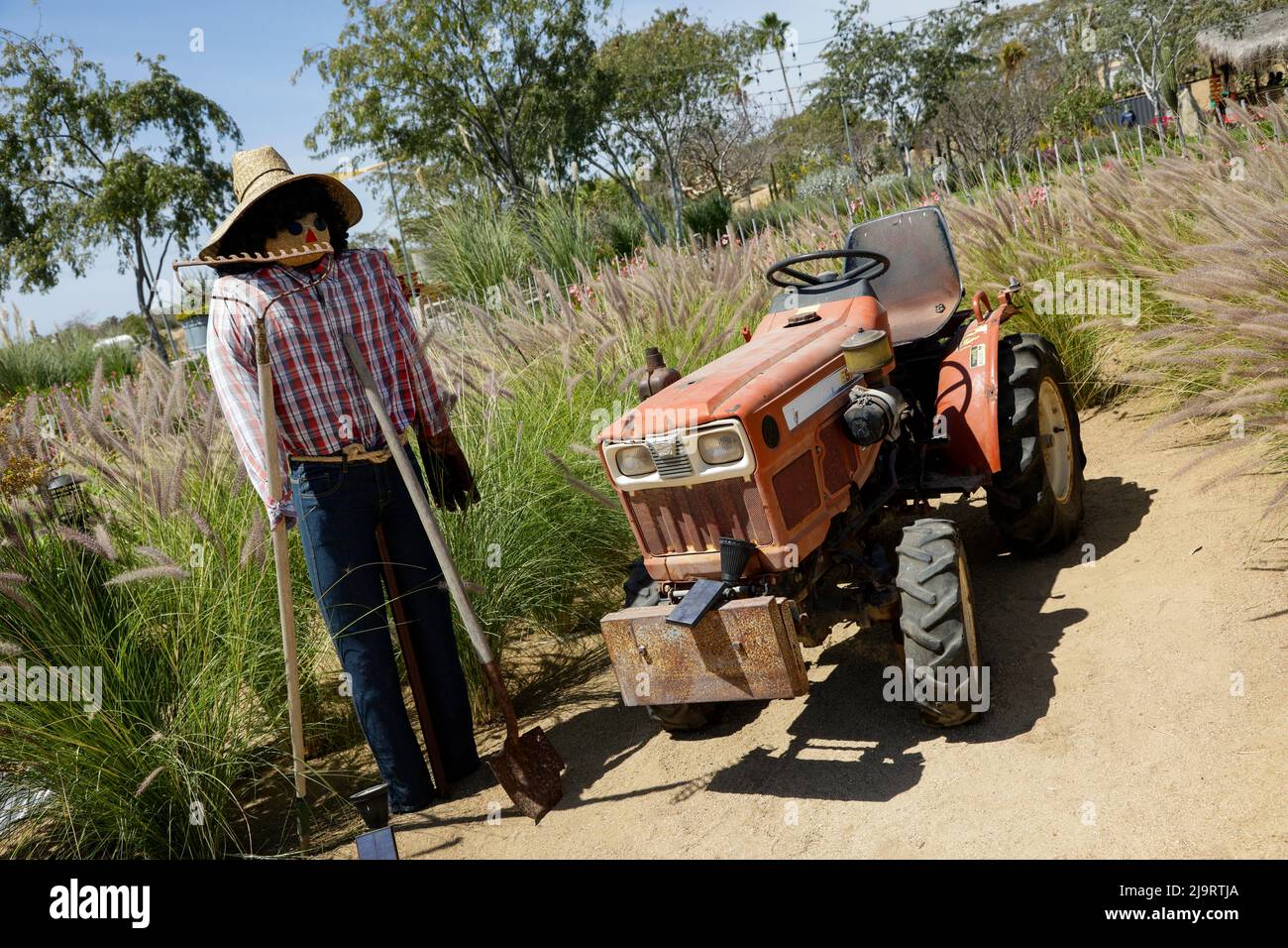 Small farm in Cabo San Lucas, Mexico. Scarecrow Stock Photo - Alamy