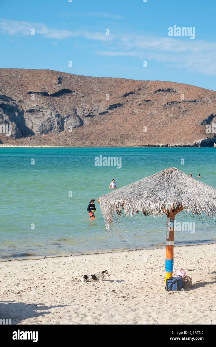Baja California, Mexico. Sea of Cortez. Beach scene with thatch ...