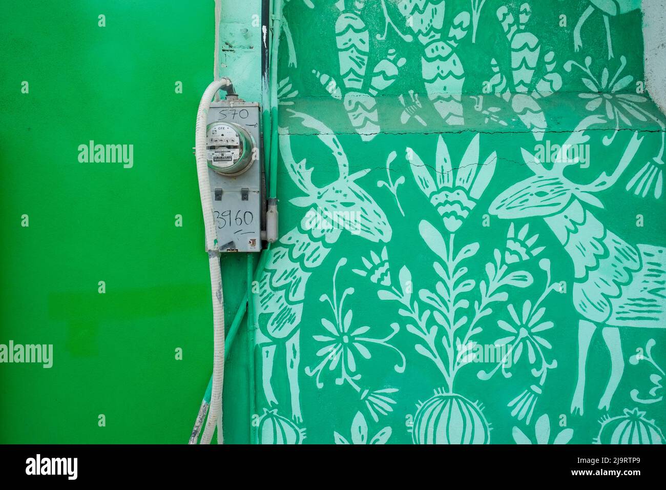 Todos Santos, Mexico. Electric meter on a blue and green wall with a ...