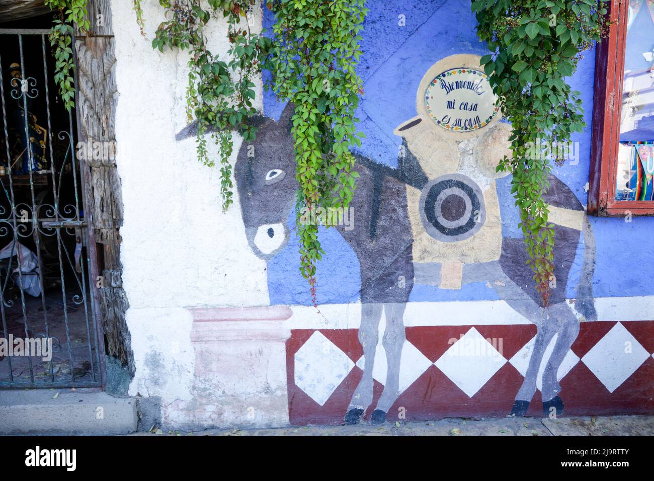 Cabo San Lucas, Mexico. Mural on a wall depicting a donkey (burro Stock ...