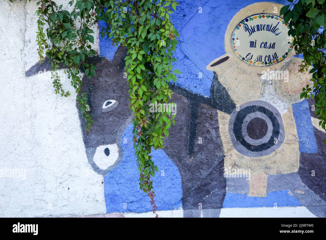 Cabo San Lucas, Mexico. Mural on a wall depicting a donkey (burro Stock ...