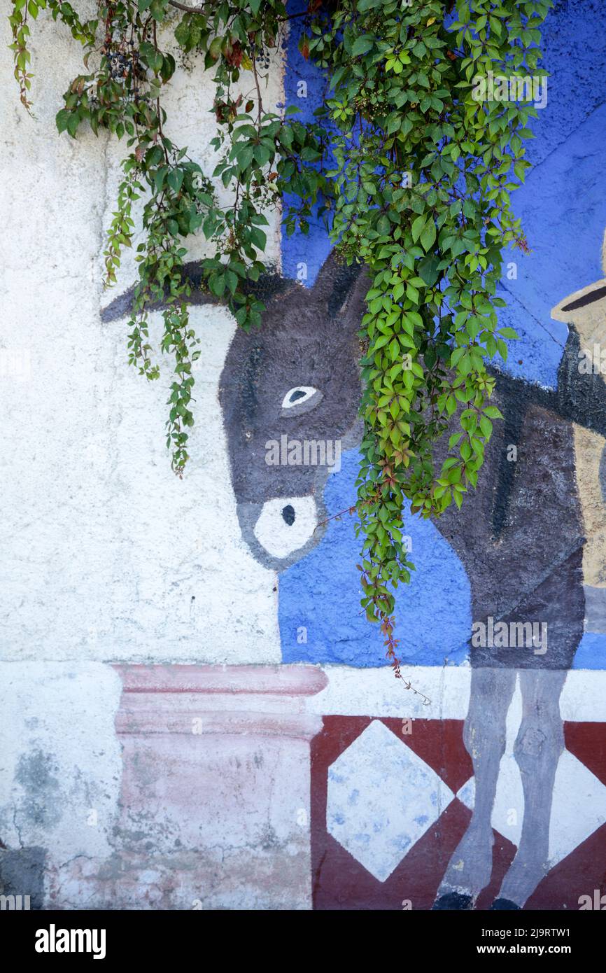 Cabo San Lucas, Mexico. Mural on a wall depicting a donkey (burro Stock ...