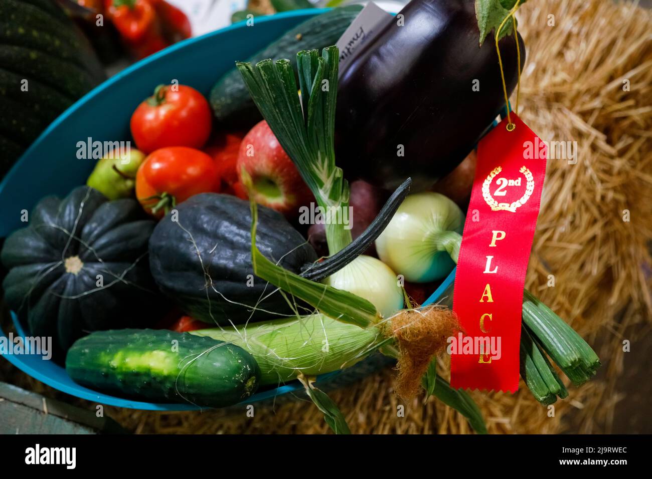 Window Rock, Arizona, USA. Navajo Nation Fair. Prize-winning produce ...