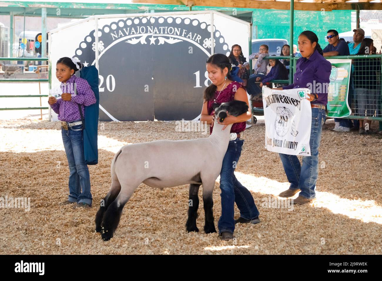 Window Rock, Arizona, USA. Navajo Nation Fair. Girl with goat in ...