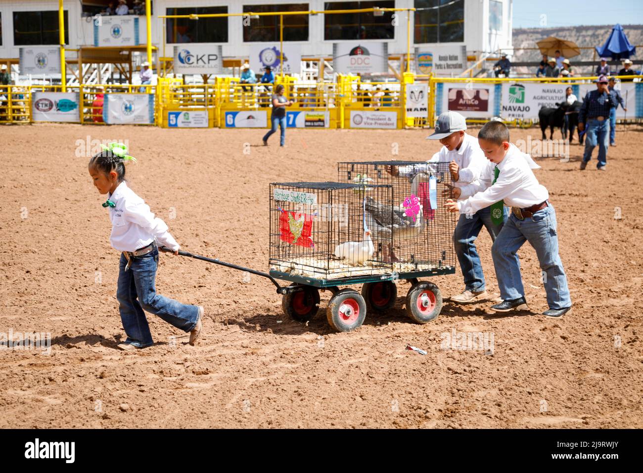 Window Rock, Arizona, USA. Navajo Nation Fair. Children pushing a ...