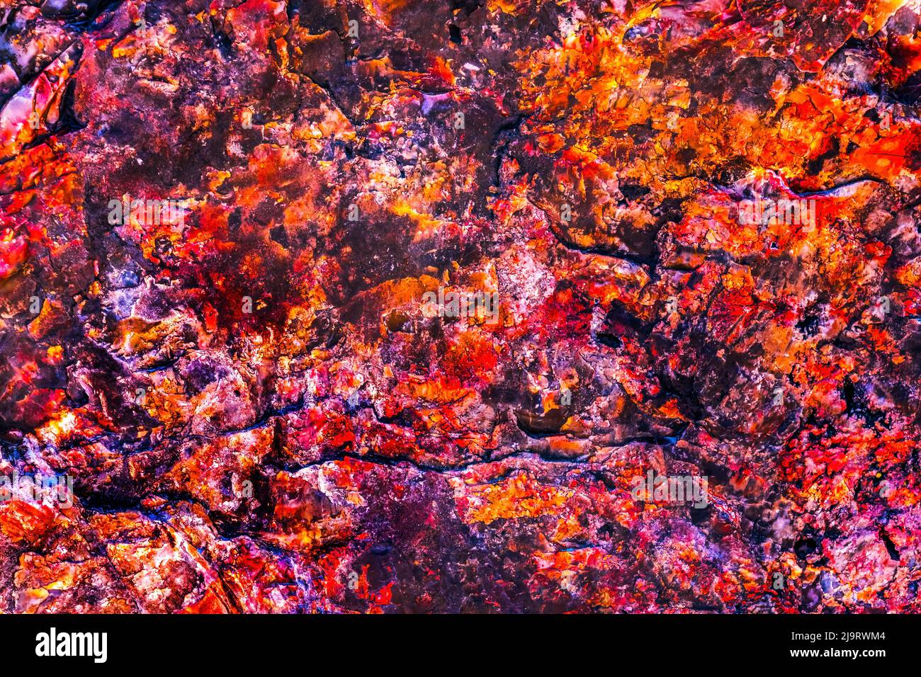 American petrified forest hi-res stock photography and images - Alamy