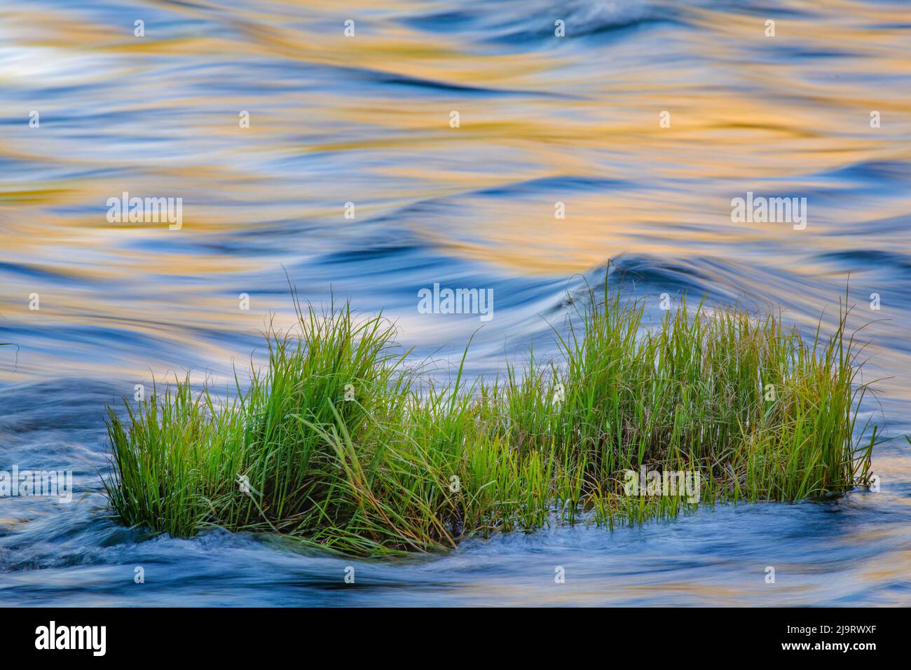 Sunset reflection on Merced River, Yosemite National Park, California ...