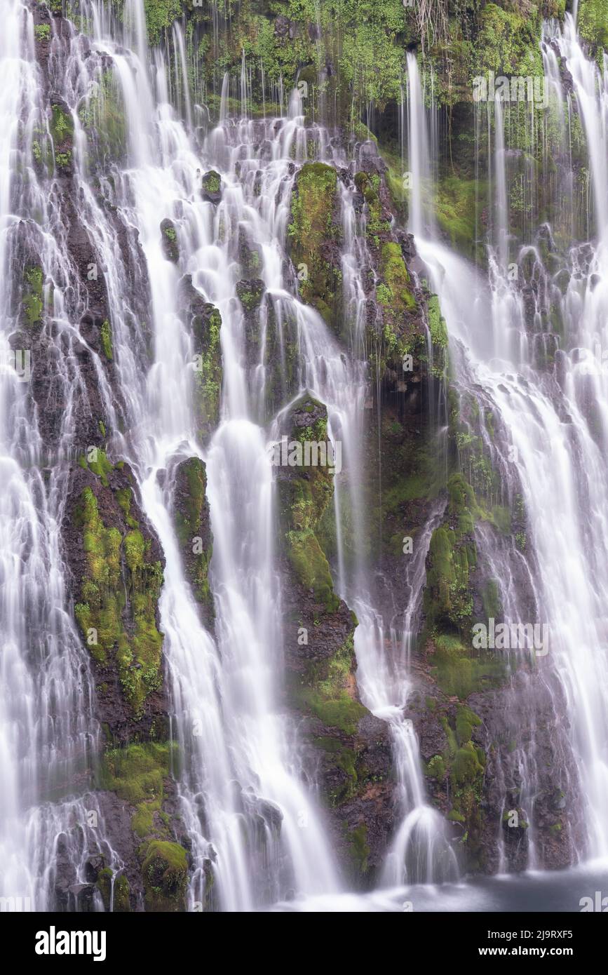 Mcarthur burney falls state par hi-res stock photography and images - Alamy