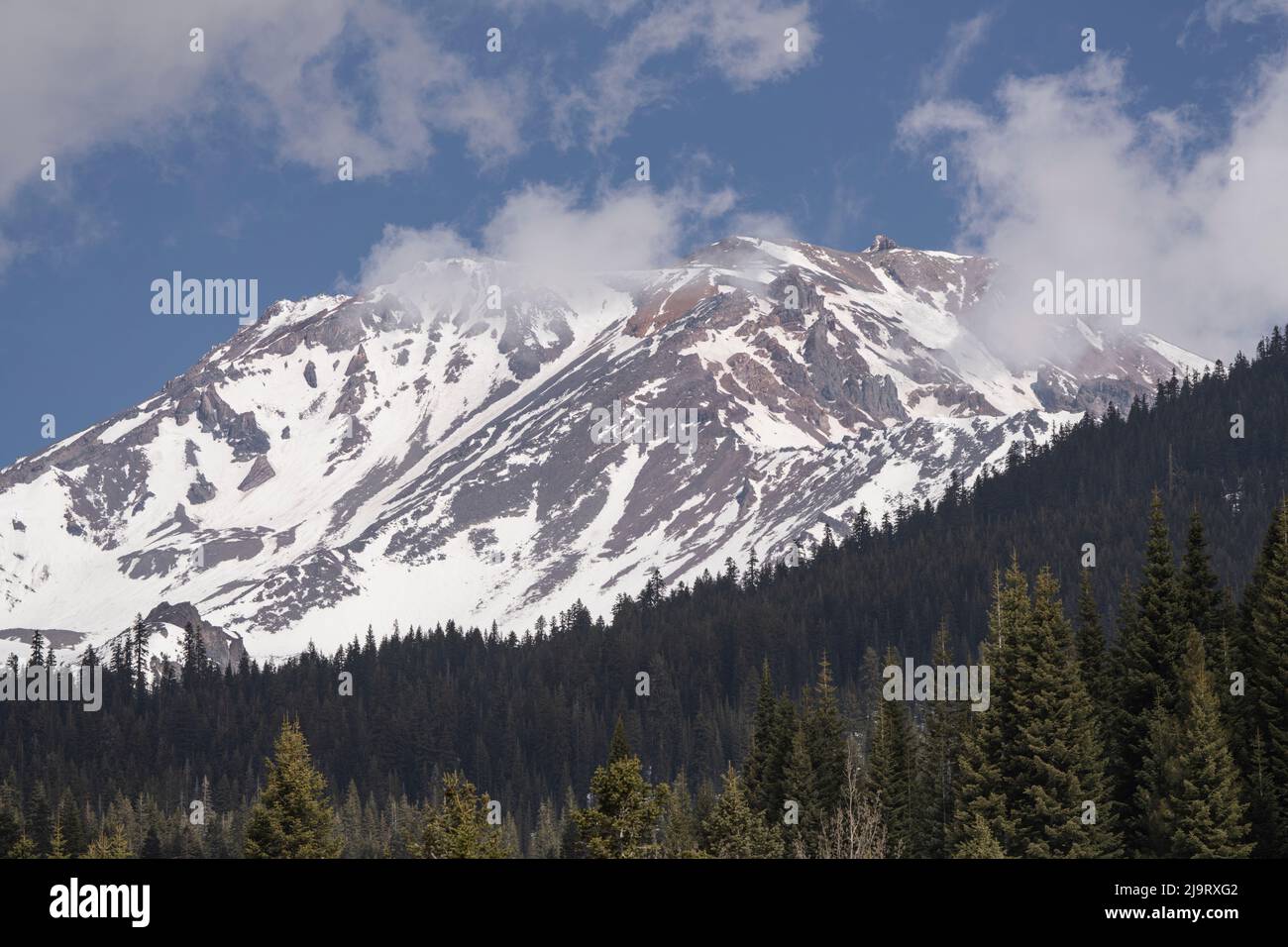 Mt shasta forest hi-res stock photography and images - Alamy