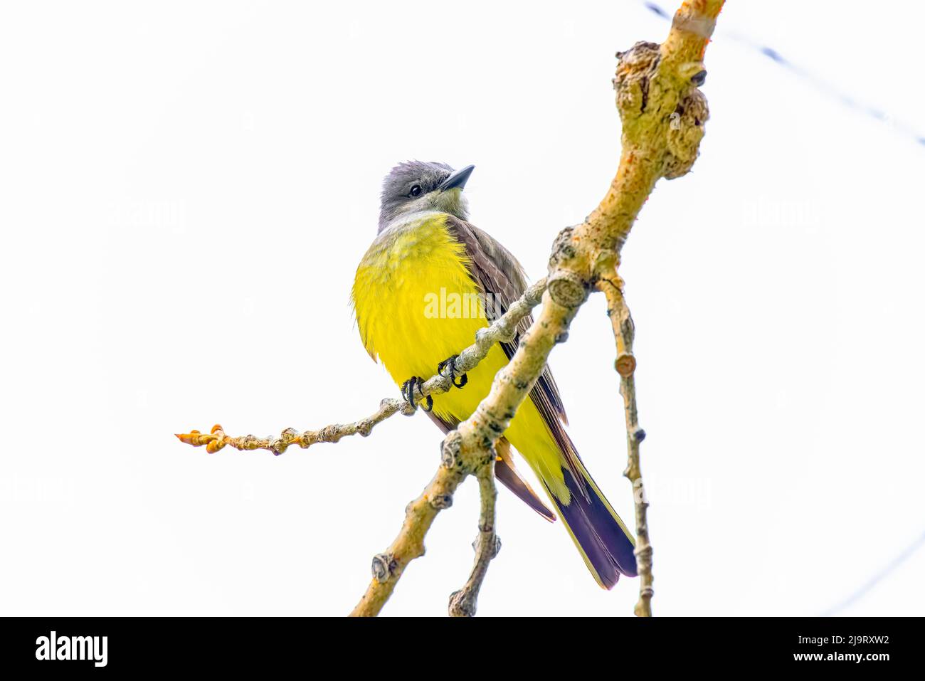 John martin reservoir colorado hi-res stock photography and images - Alamy