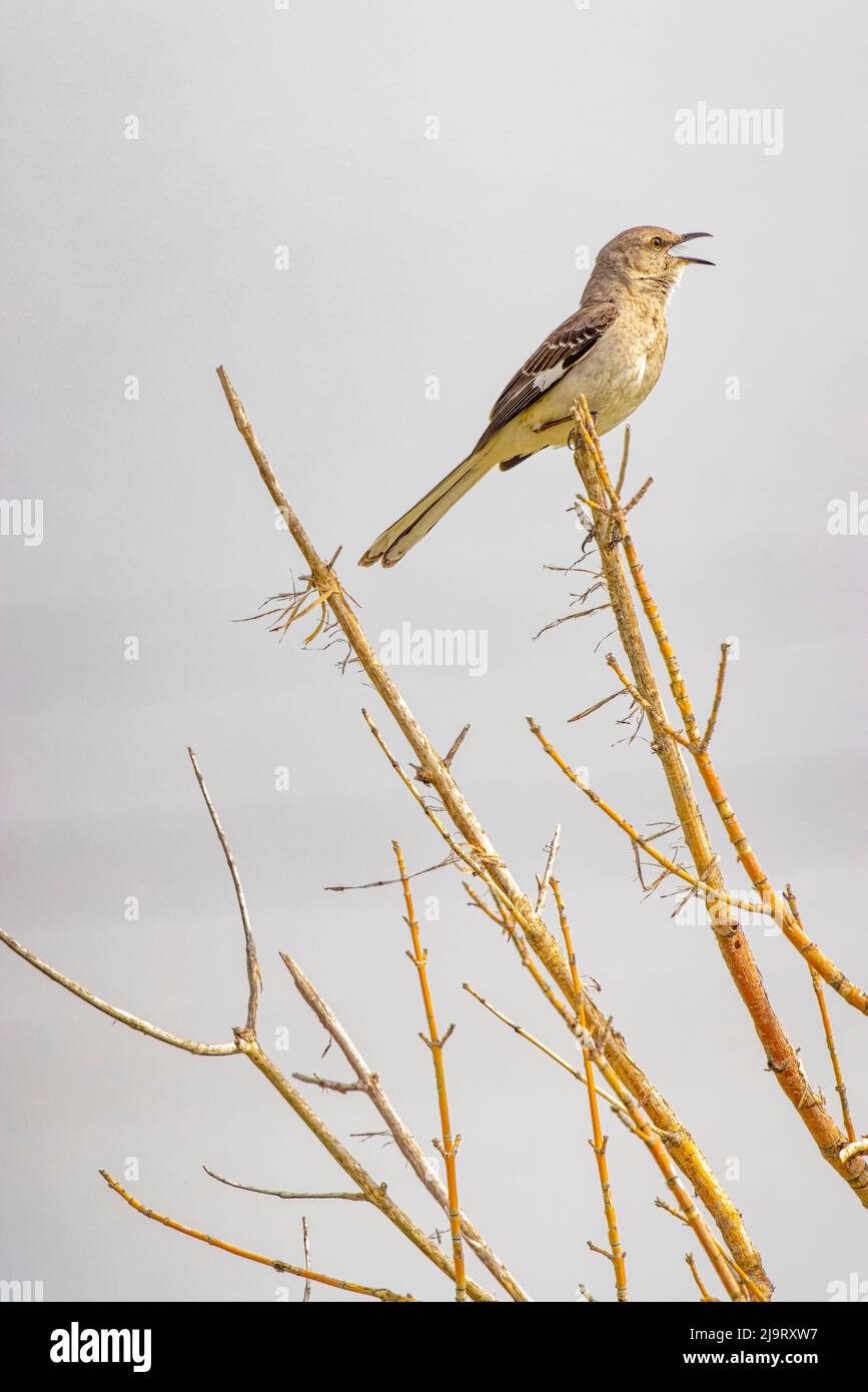 John martin reservoir colorado hi-res stock photography and images - Alamy
