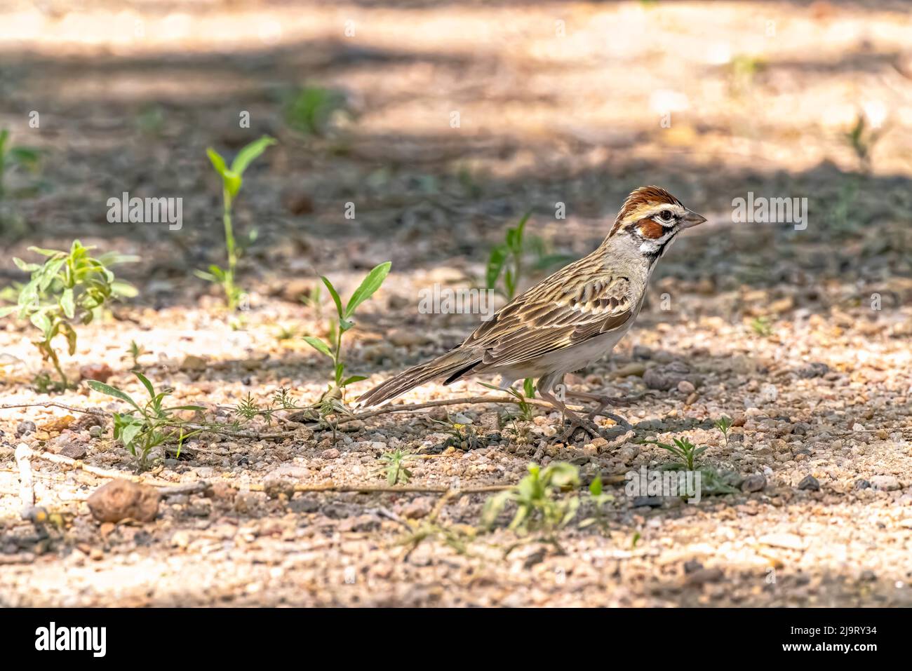 John martin reservoir colorado hi-res stock photography and images - Alamy