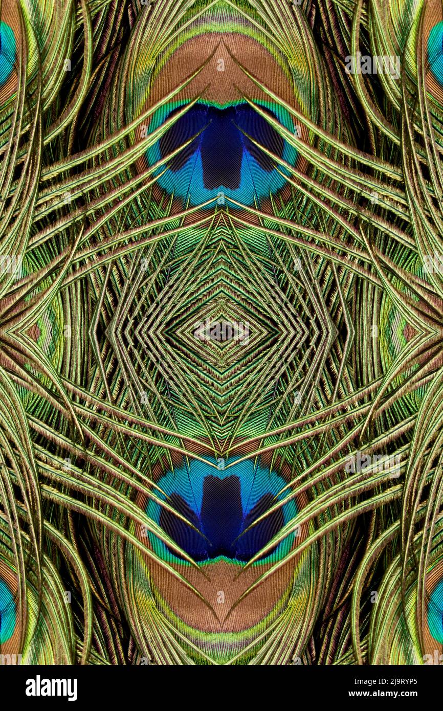 Pattern florida hi-res stock photography and images - Alamy