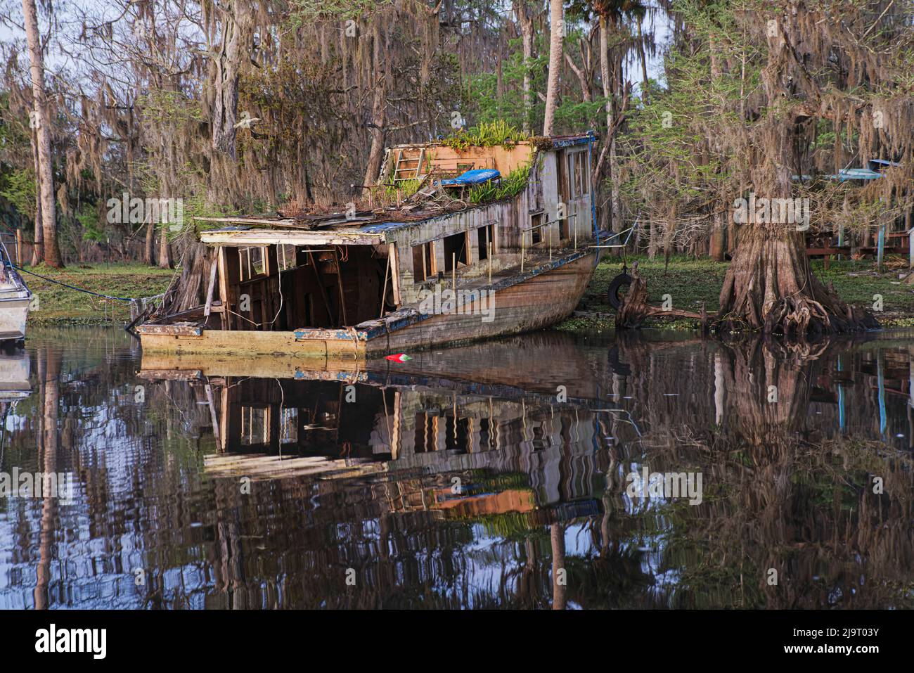 Early spring view of old abandoned boat, blackwater area of St. Johns ...