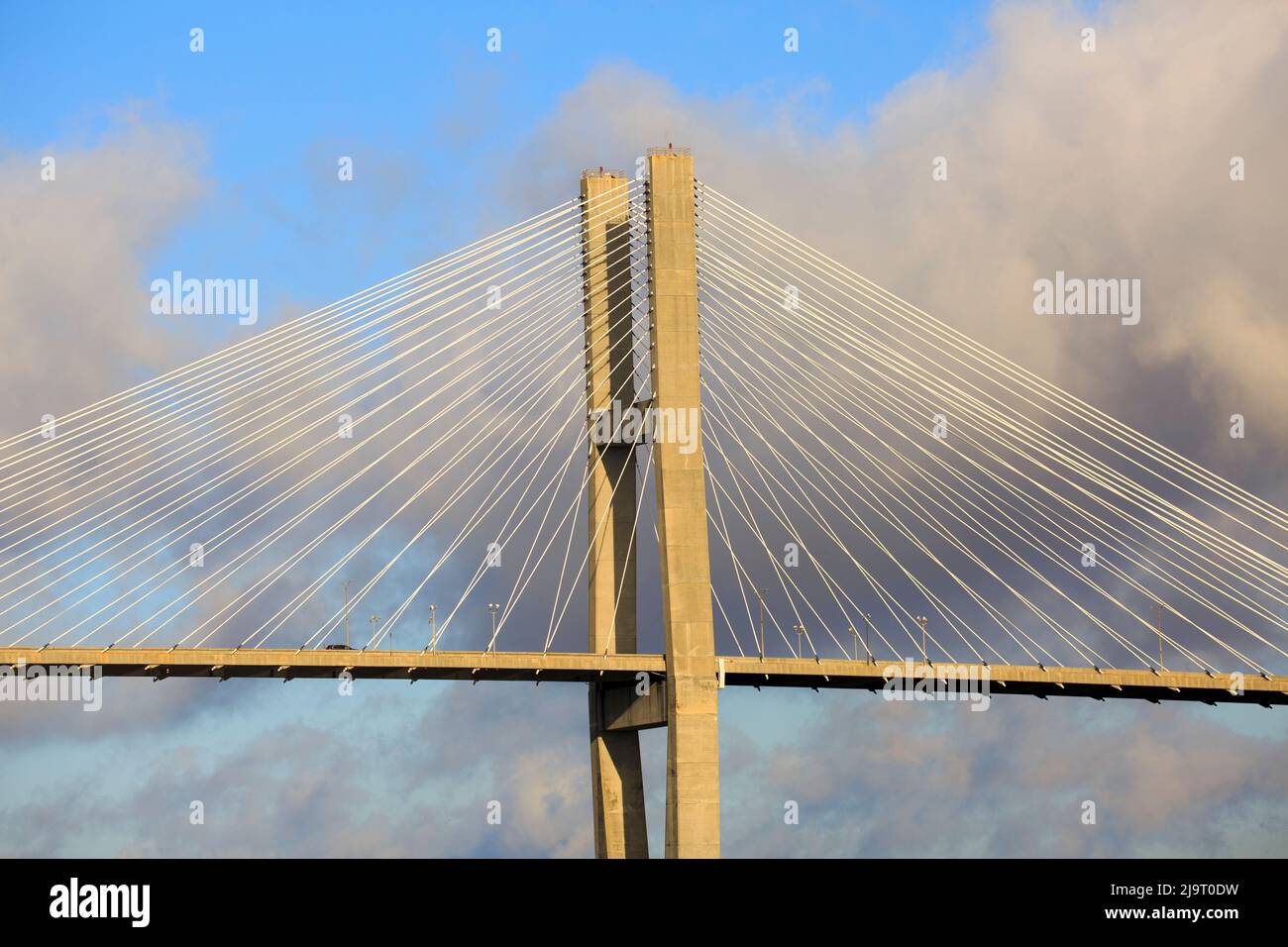 USA, Georgia, Savannah. Talmadge Memorial Bridge over the Savannah ...