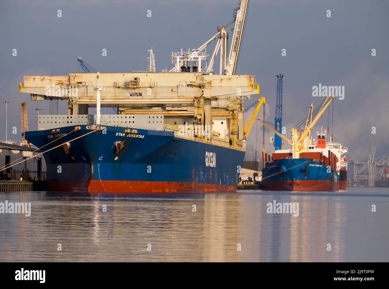 USA, Georgia, Savannah. Cargo ships docked at Savannah Harbor ...