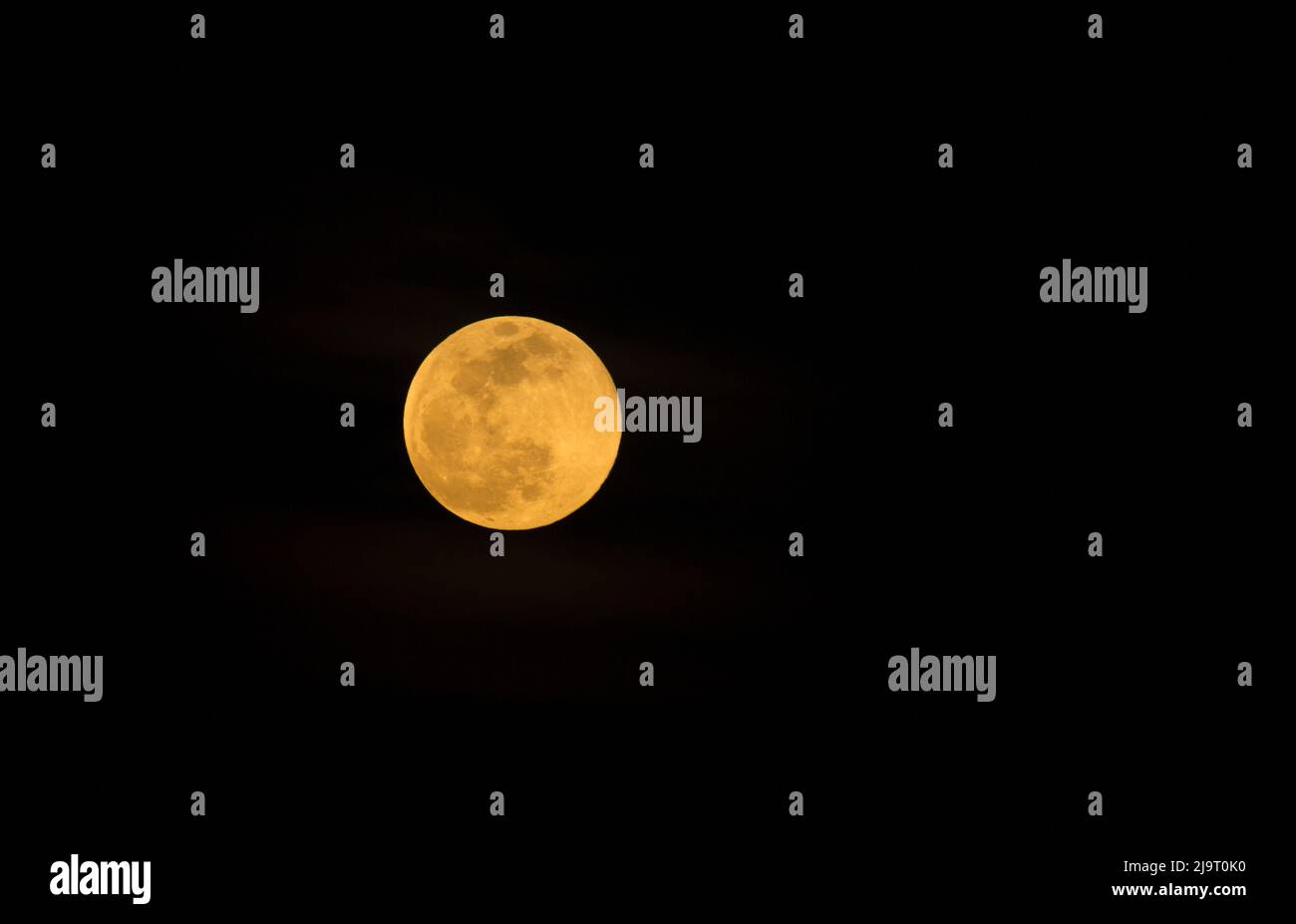 USA, Georgia, Savannah. Full moon rising Stock Photo - Alamy