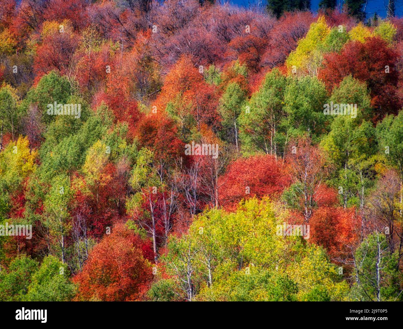 Montpelier canyon hi-res stock photography and images - Alamy