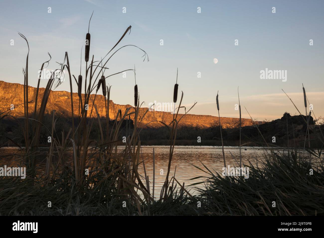 Wetland pond, rising moon Stock Photo - Alamy