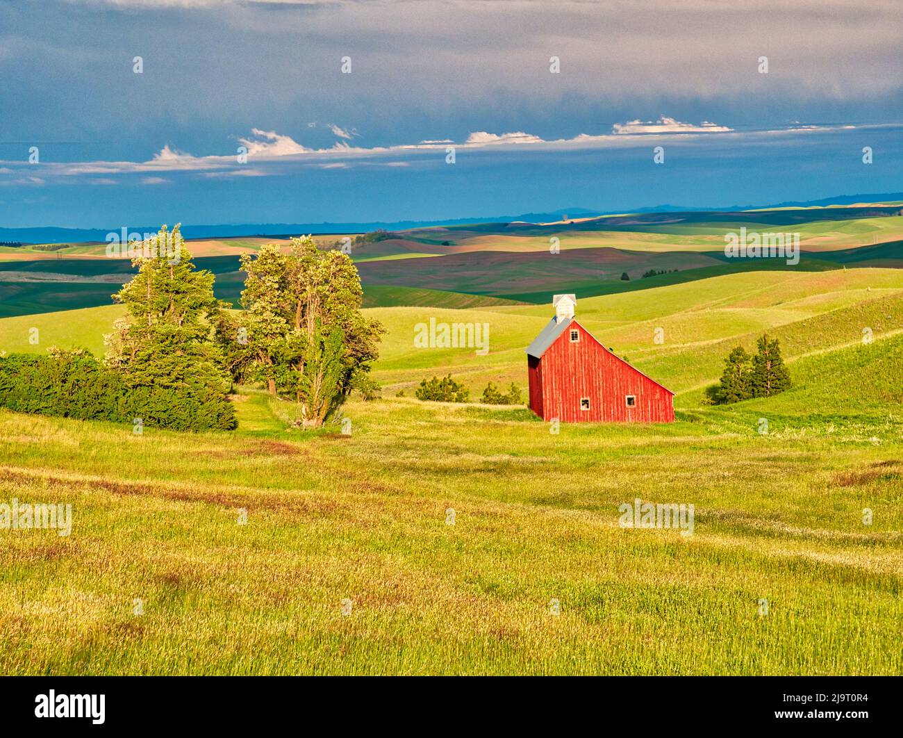 USA, Idaho, Palouse. Red barn with dark clouds and warm light Stock ...
