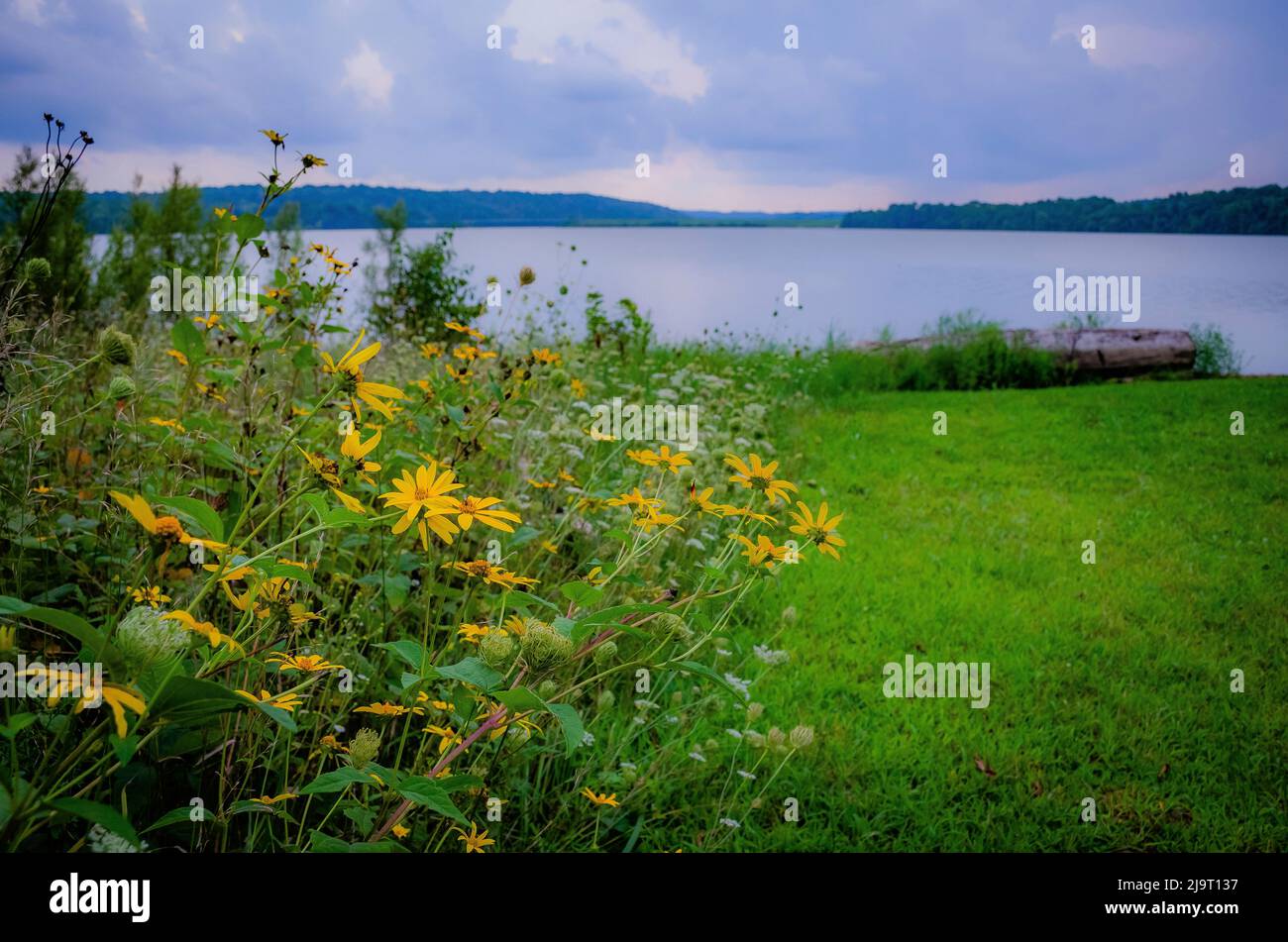 Whitewater Lake, Whitewater Memorial State Park, Indiana, USA Stock ...