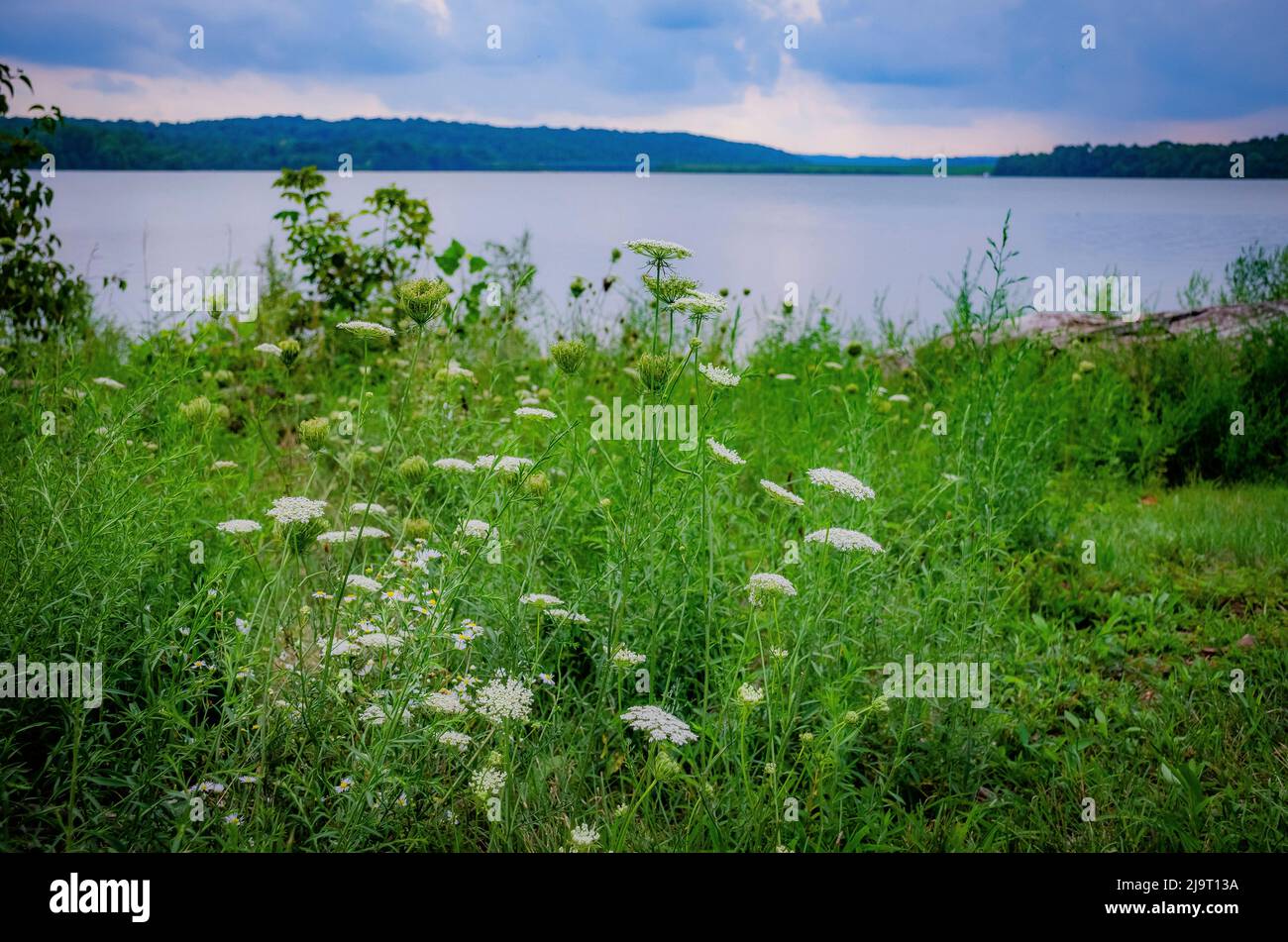Whitewater Lake, Whitewater Memorial State Park, Indiana, USA Stock ...