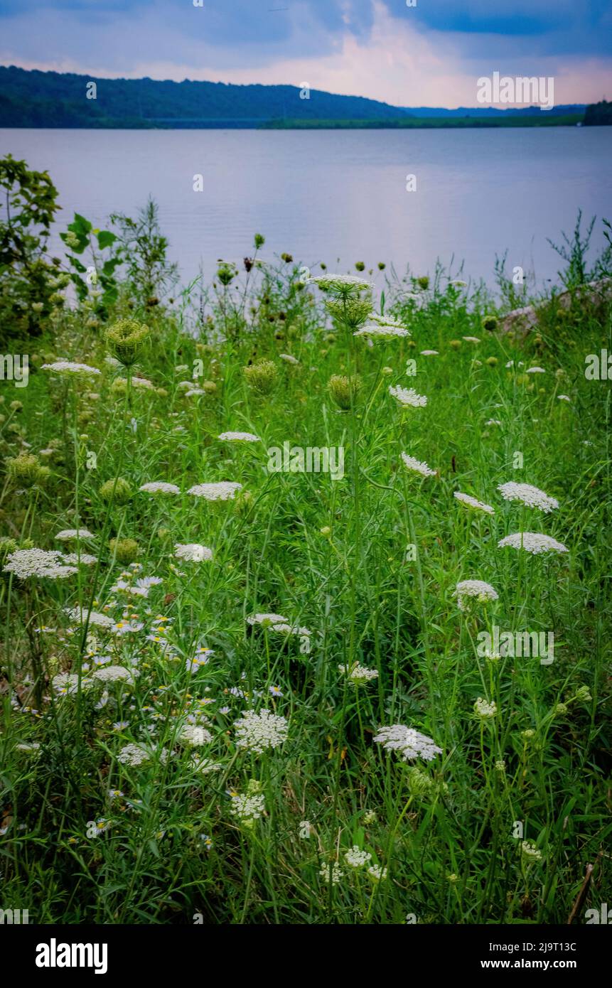 Whitewater Lake, Whitewater Memorial State Park, Indiana, USA Stock ...
