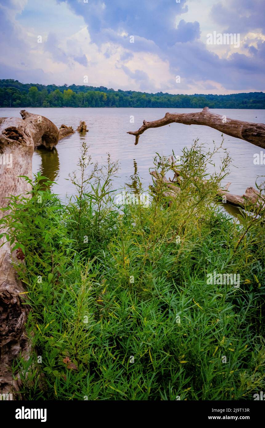 Whitewater Lake, Whitewater Memorial State Park, Indiana, USA Stock ...